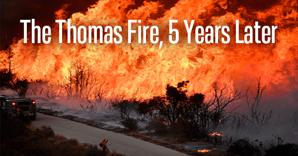 Thomas Fire On Ridge with 5-Year Anniversary Text—FB - Venturans for ...