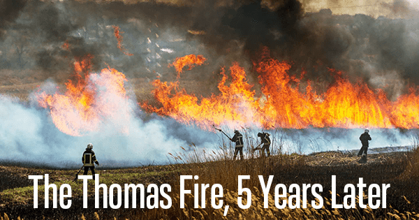 Wildfire Fire Line with Firefighters with Text—FB - Venturans for ...